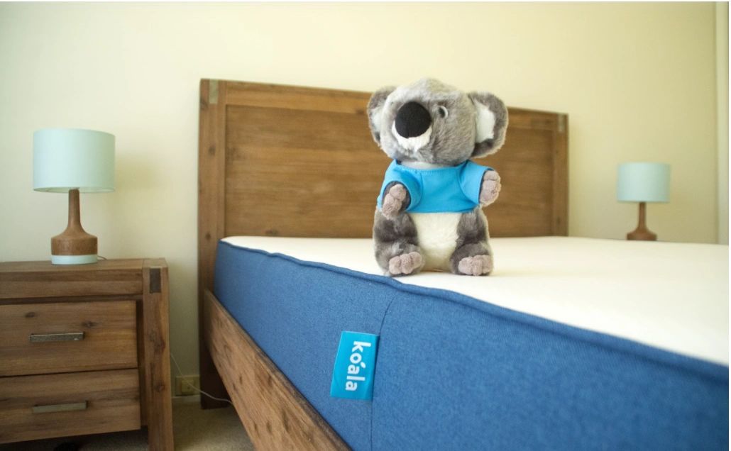 How Koala Mattress went from zero to $175million in six years